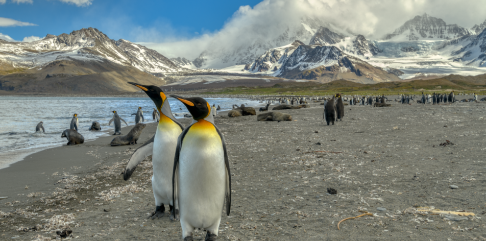 Aperture Photo Arts | Travel, Nature, Underwater Photography