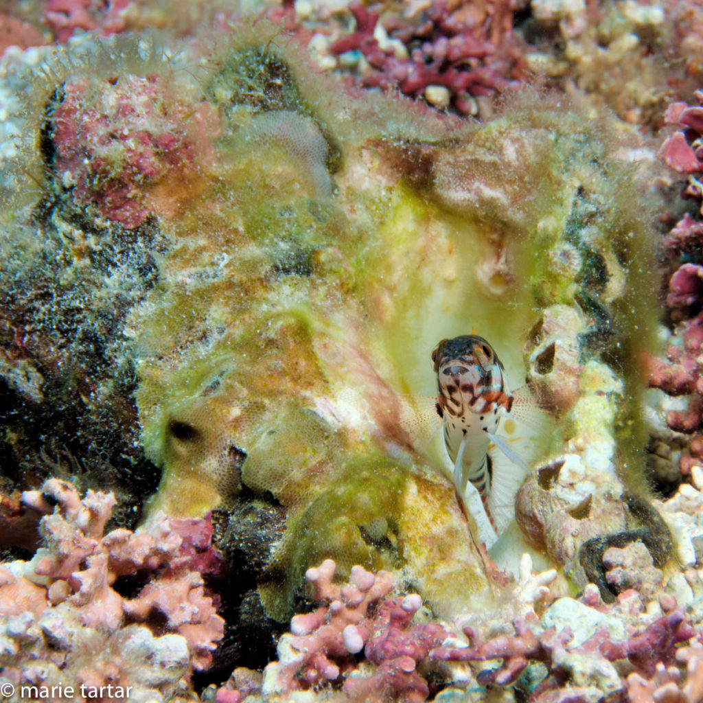 Back to Baja, October, 2017 - Aperture Photo Arts