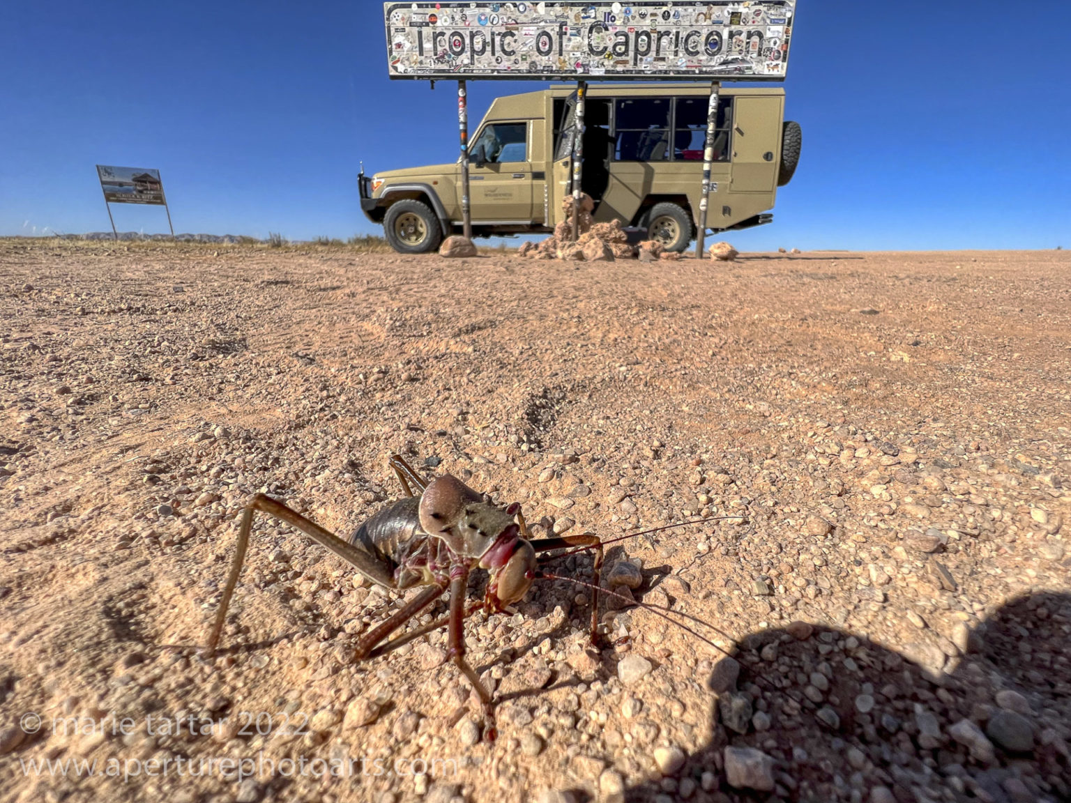 Namibia, June 2022 (Part 4: Walvis Bay) - Aperture Photo Arts