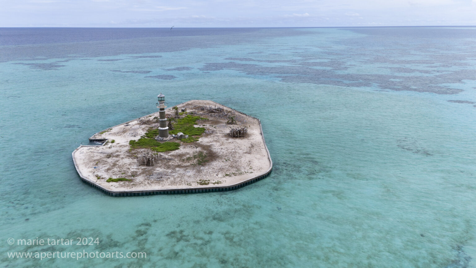 Finally, the Philippines! (Part 2-Tubbataha, June 2024) - Aperture ...