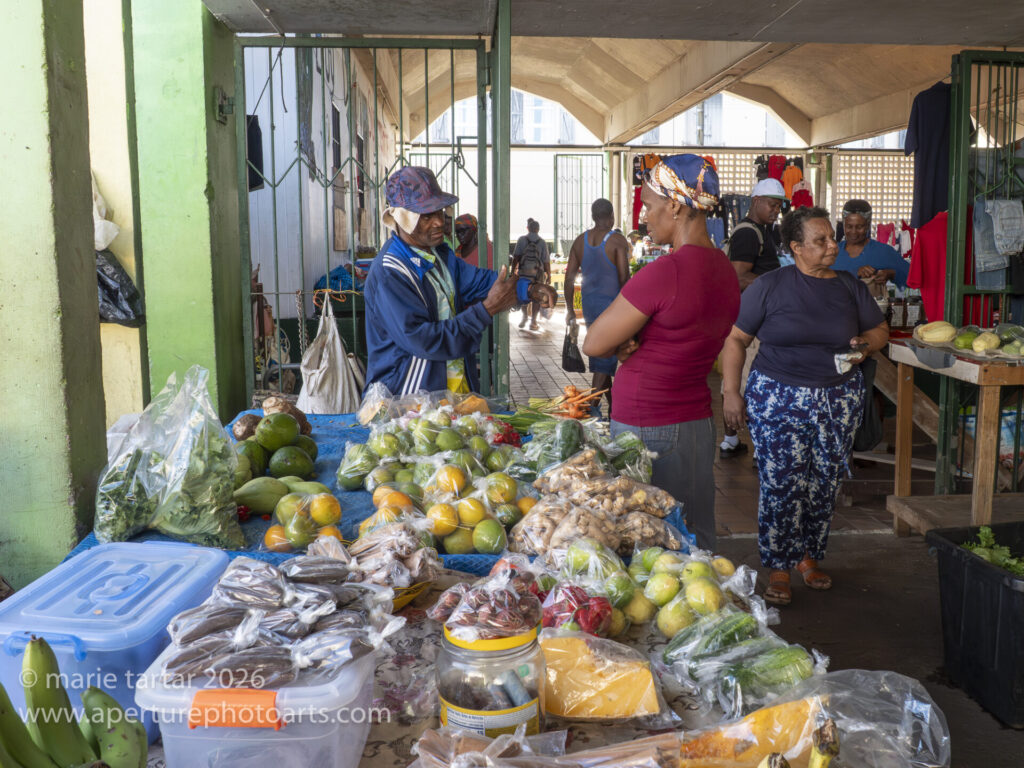 Delightful Dominica, January 2026 (Part 2, Jungle Bay) - Aperture Photo ...