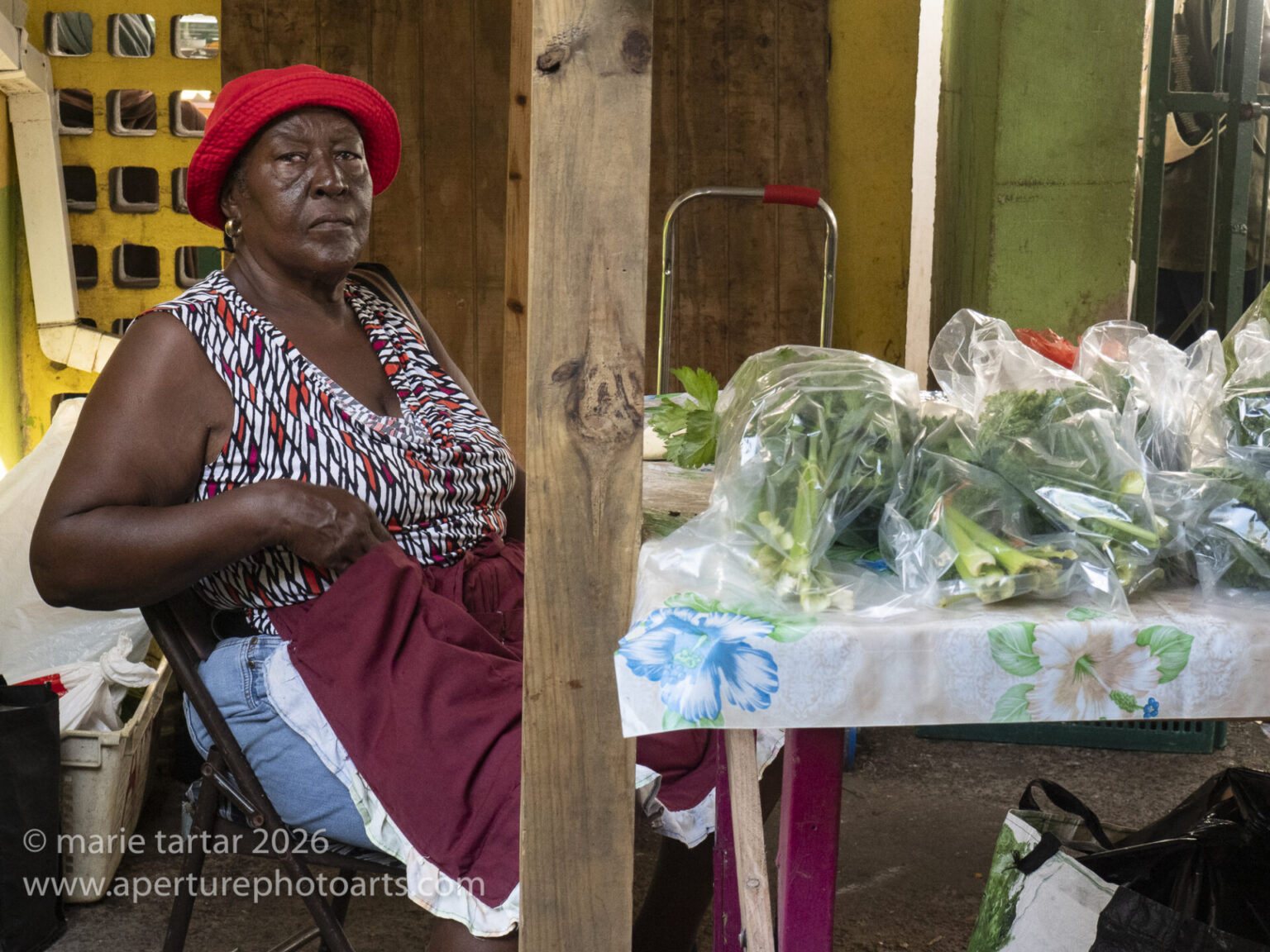 Delightful Dominica, January 2026 (Part 2, Jungle Bay) - Aperture Photo ...